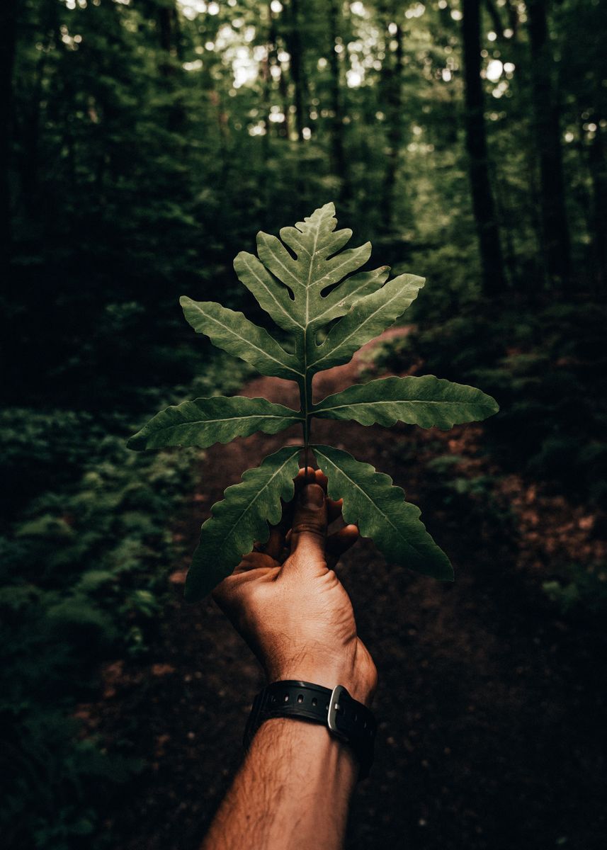 'Summer coolers' Poster by Benjamin Bryer | Displate