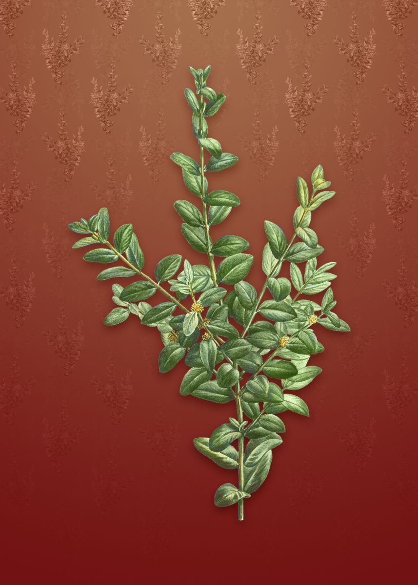 'Vintage Boxwood Bush' Poster, picture, metal print, paint by Holy Rock ...