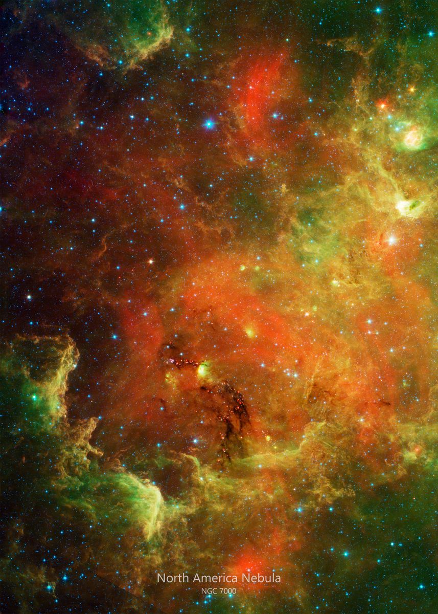 'North America Nebula' Poster, picture, metal print, paint by Galaxy ...