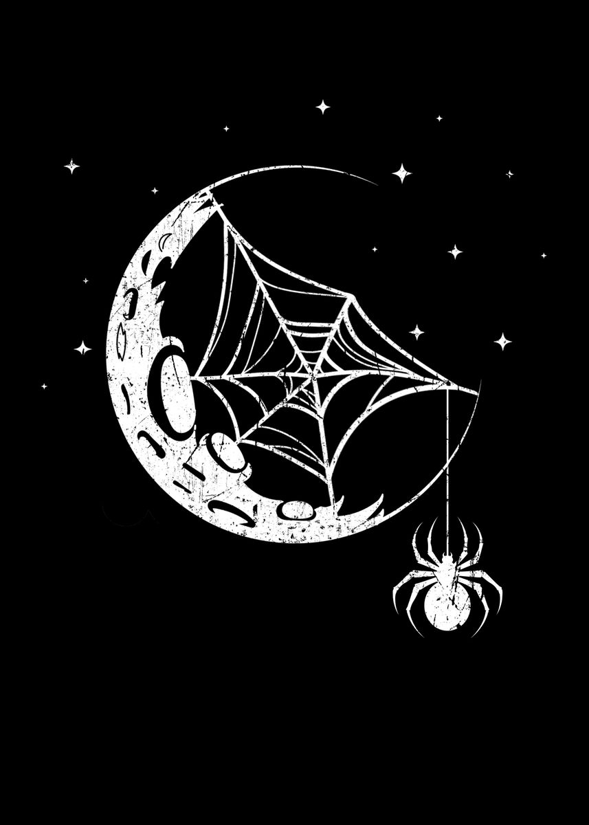 'Spider Web' Poster, picture, metal print, paint by schmugo | Displate