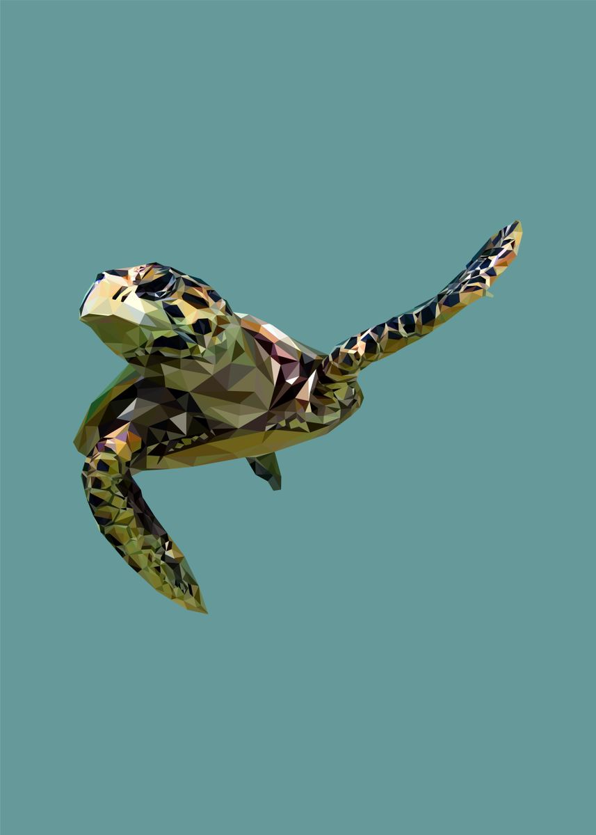 'nursery animal tortoise' Poster, picture, metal print, paint by ...