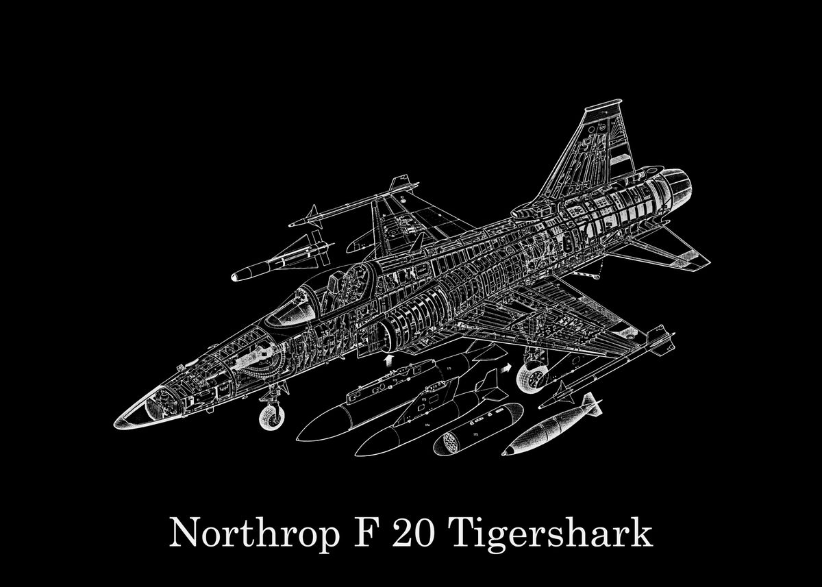 'Northrop F 20 Tigershark ' Poster by The Diamond | Displate