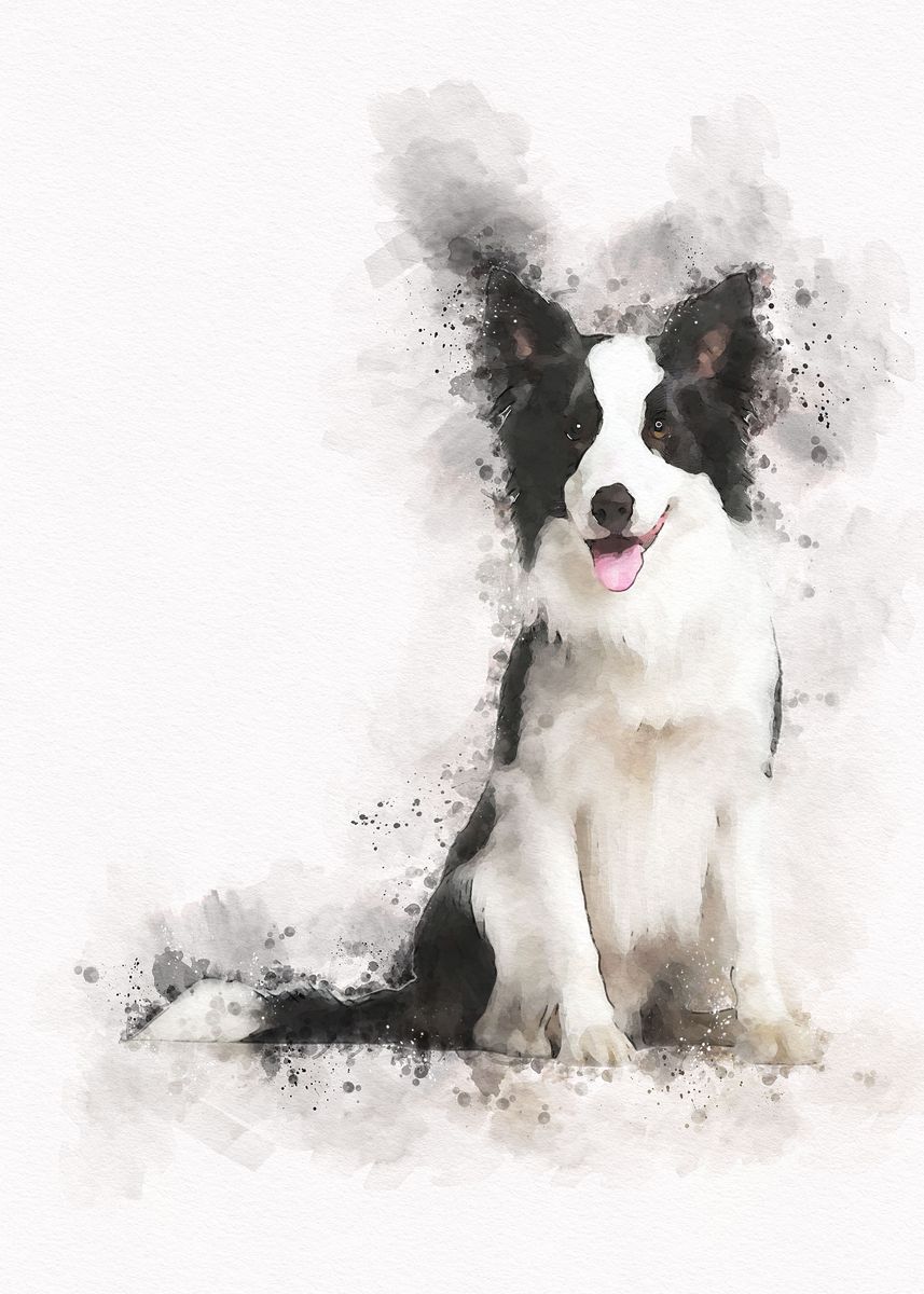 'Border collie Dog' Poster, picture, metal print, paint by kun bin ...