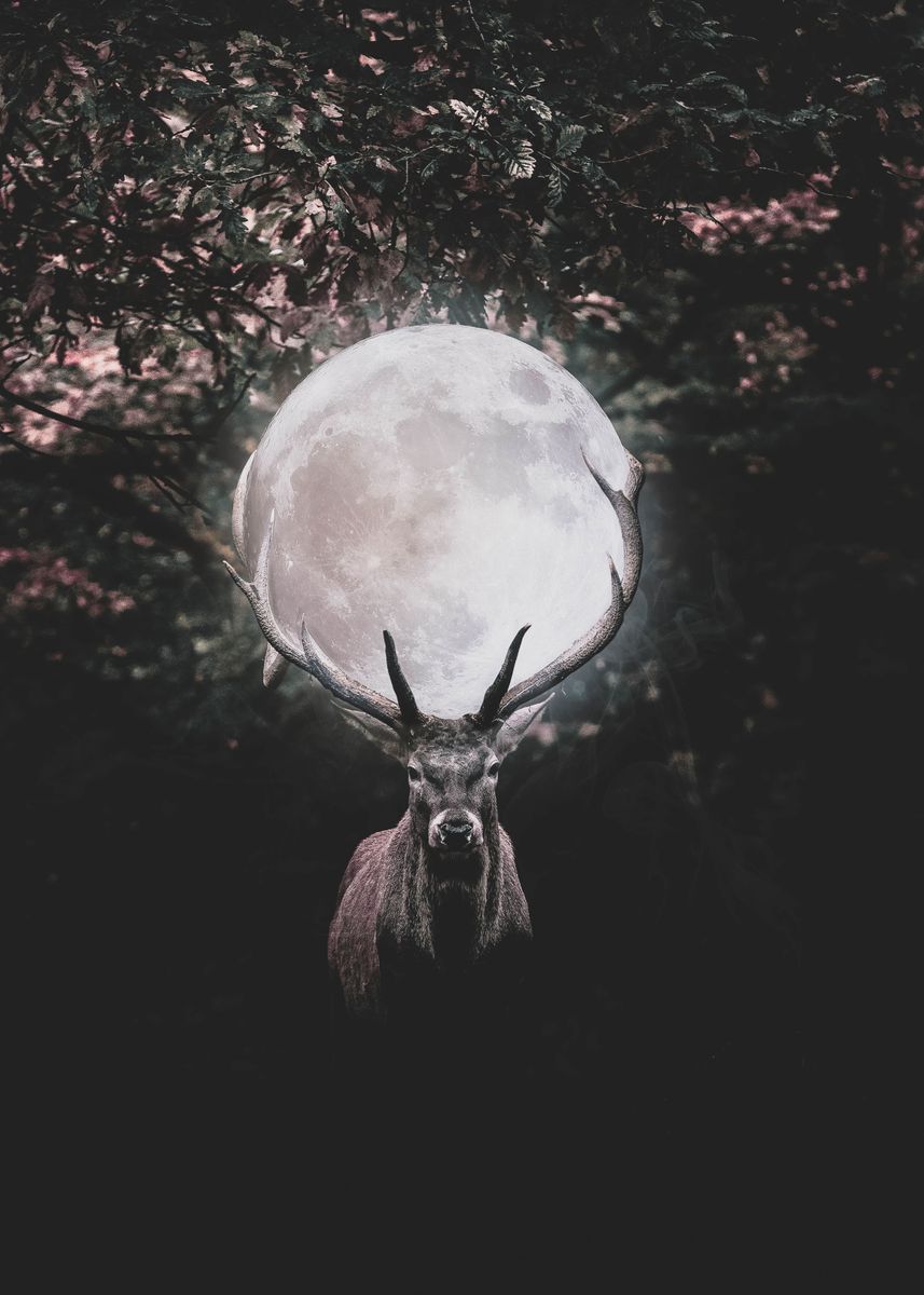 'Deer with the moon' Poster, picture, metal print, paint by Balázs ...