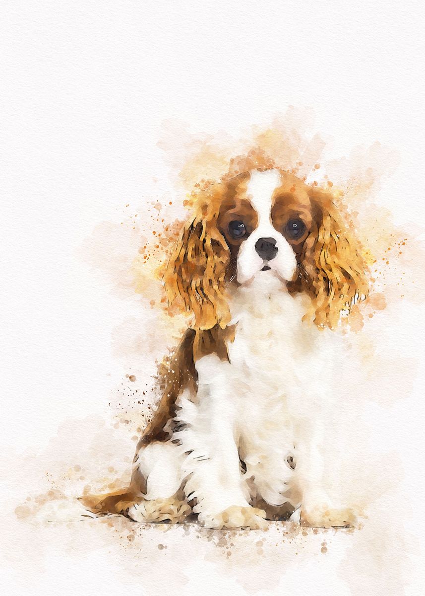 'charles spaniel dog' Poster, picture, metal print, paint by kun bin ...