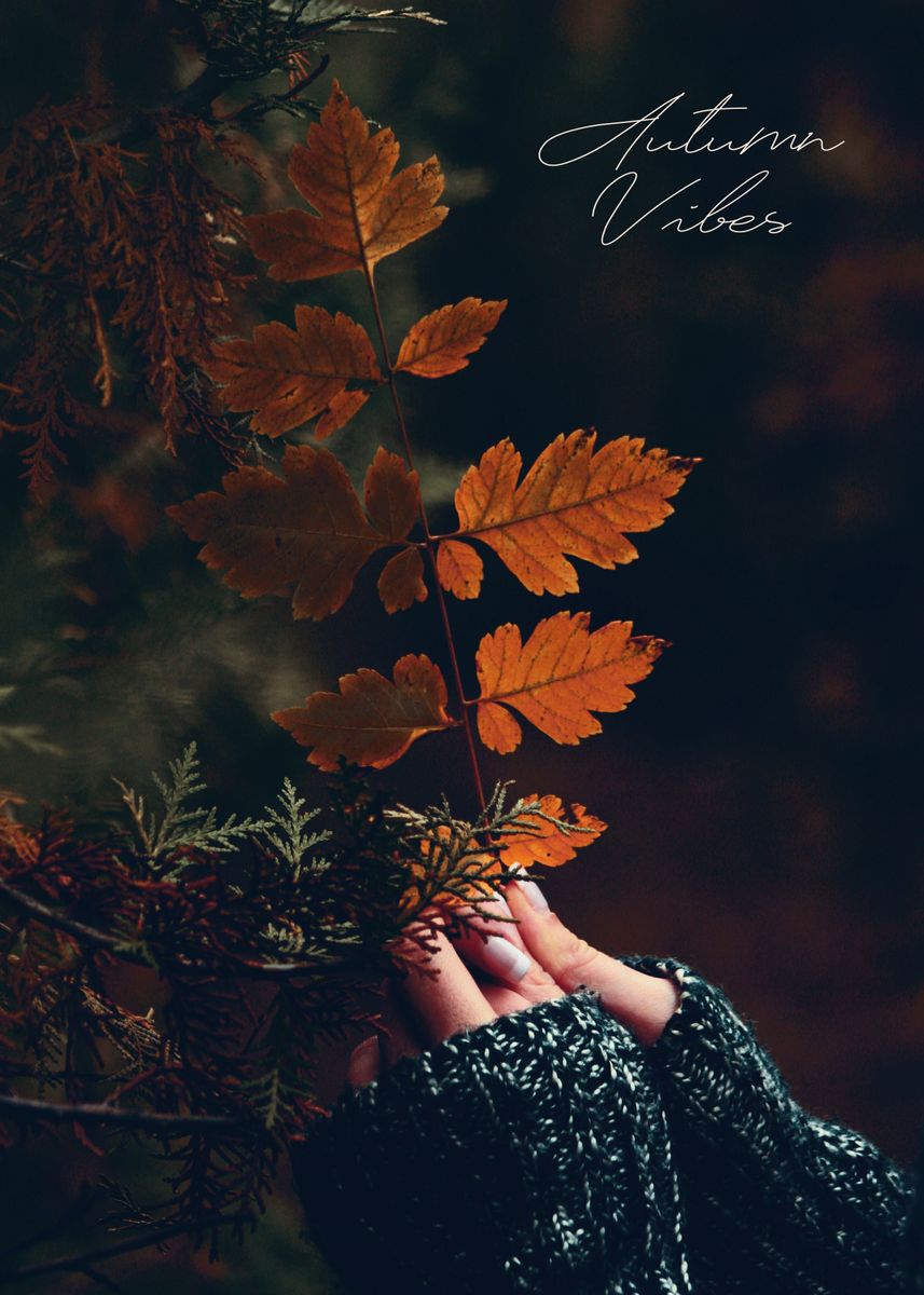 'Autumn Vibes ' Poster, picture, metal print, paint by Big City | Displate