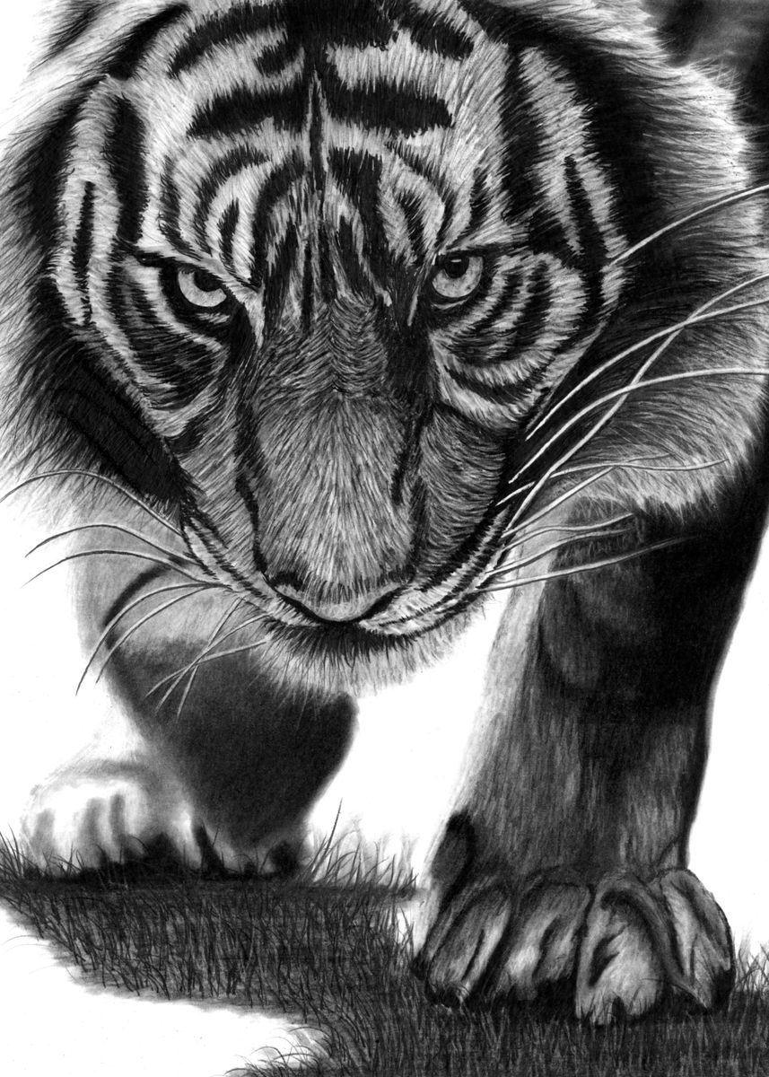 'Stalking' Poster by Paul Stowe | Displate