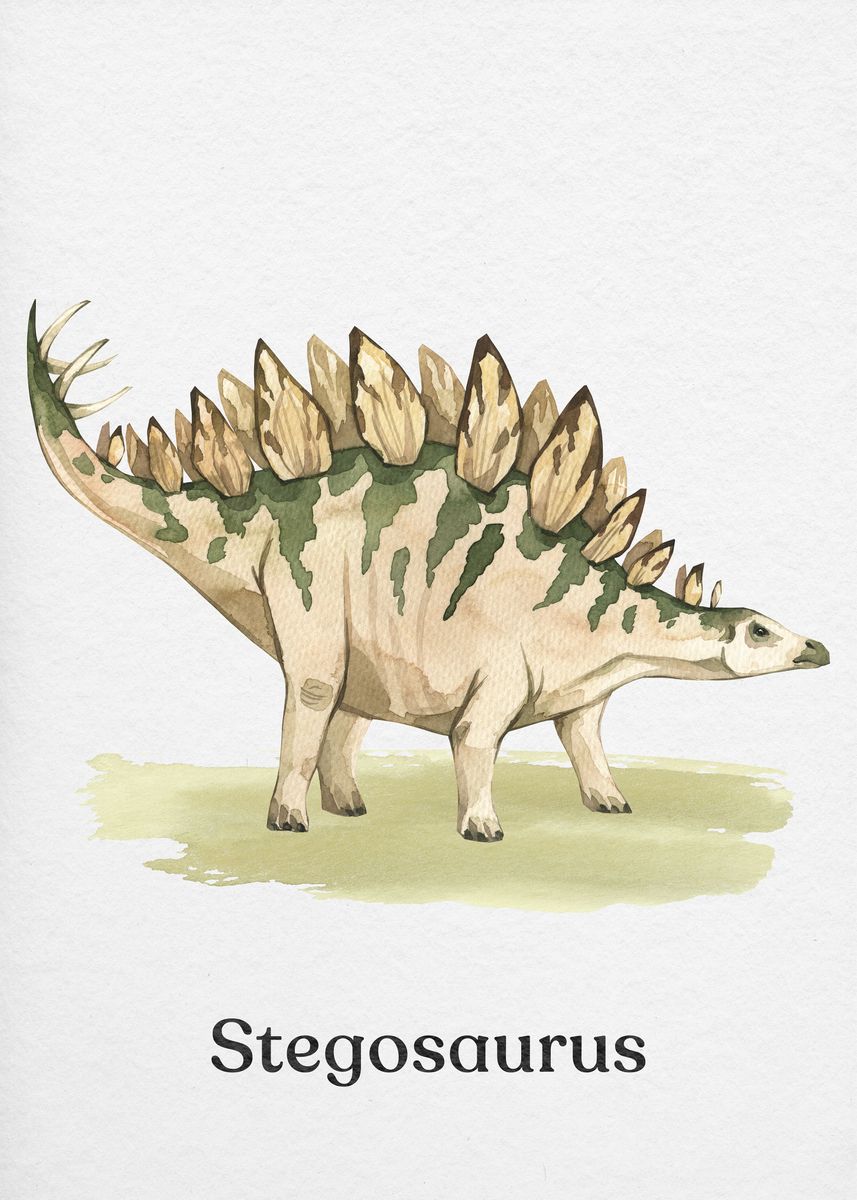 'Stegosaurus' Poster, picture, metal print, paint by Gal Design | Displate