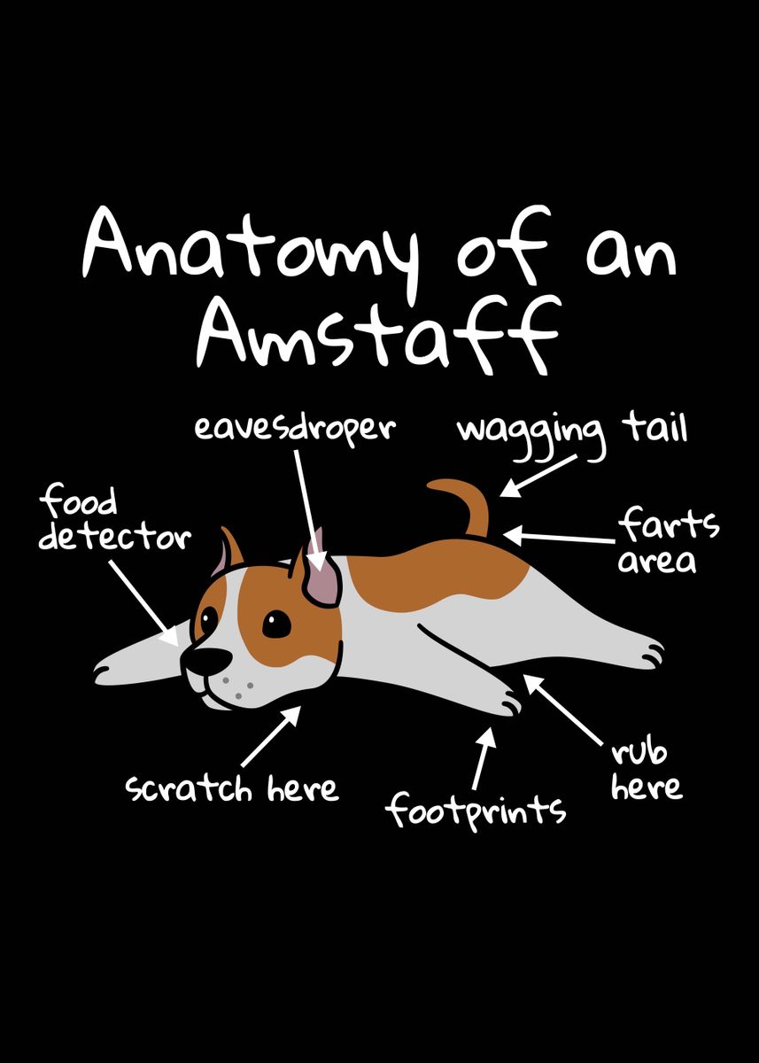 'Anatomy Of An Amstaff Dog' Poster by PetPrints | Displate