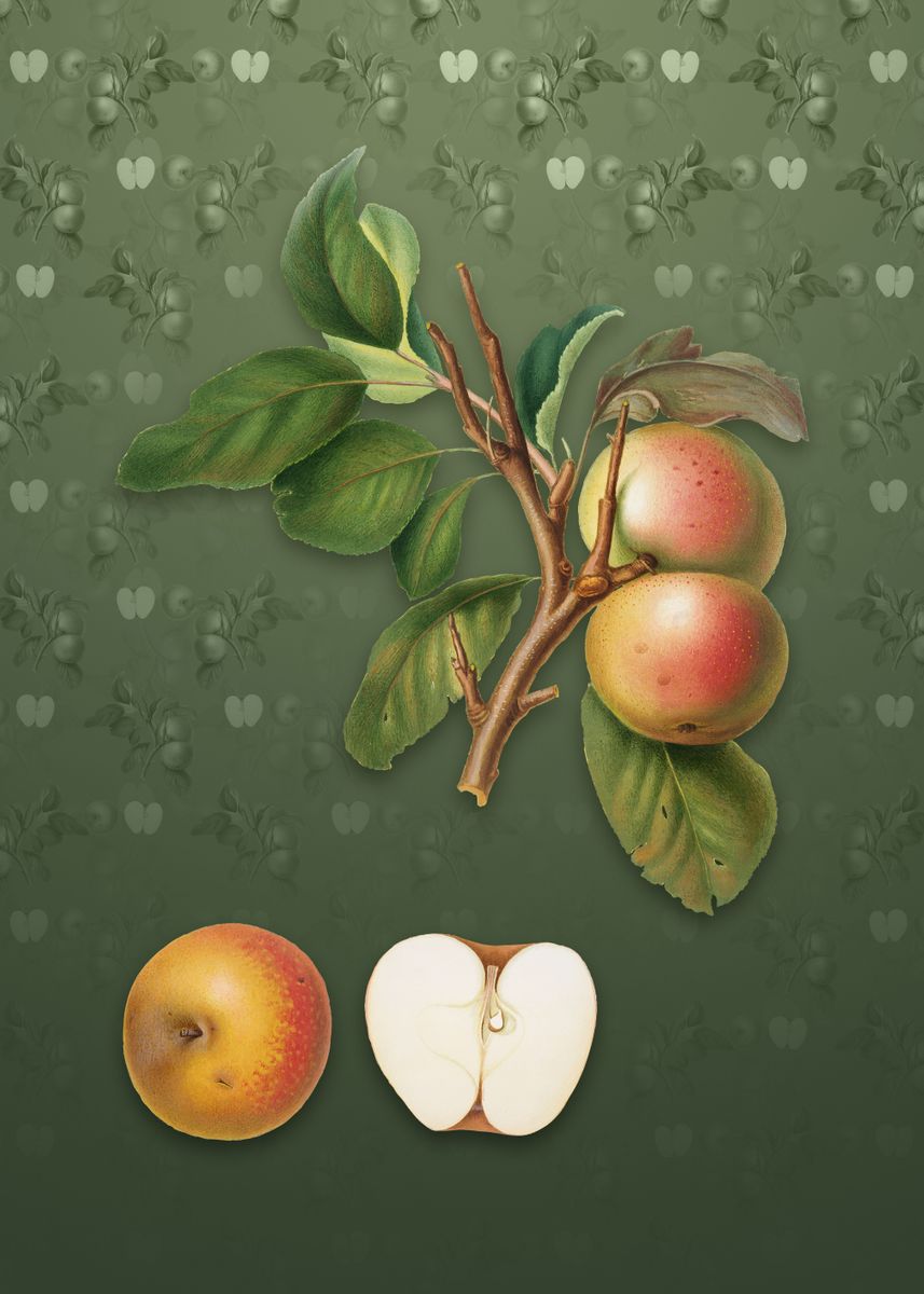 'Vintage Pupina Apple' Poster by Holy Rock Design | Displate