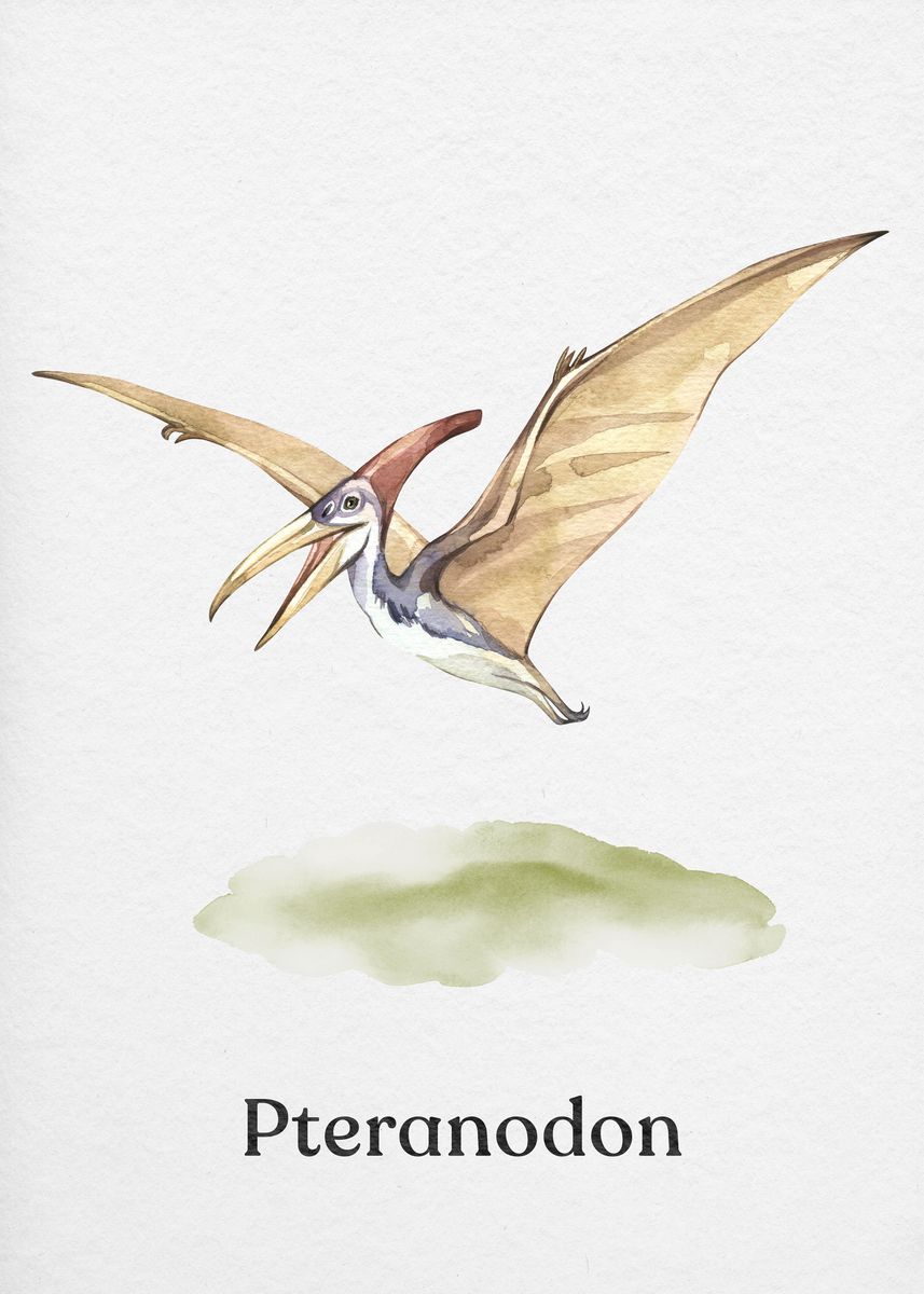 'Pteranodon' Poster, picture, metal print, paint by Gal Design | Displate