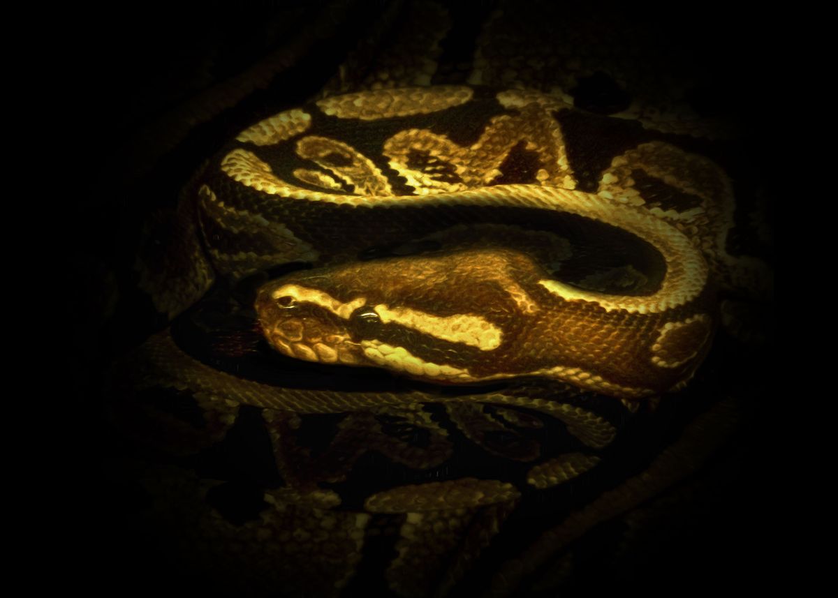 'Python 2' Poster by Gyula Gvardián | Displate