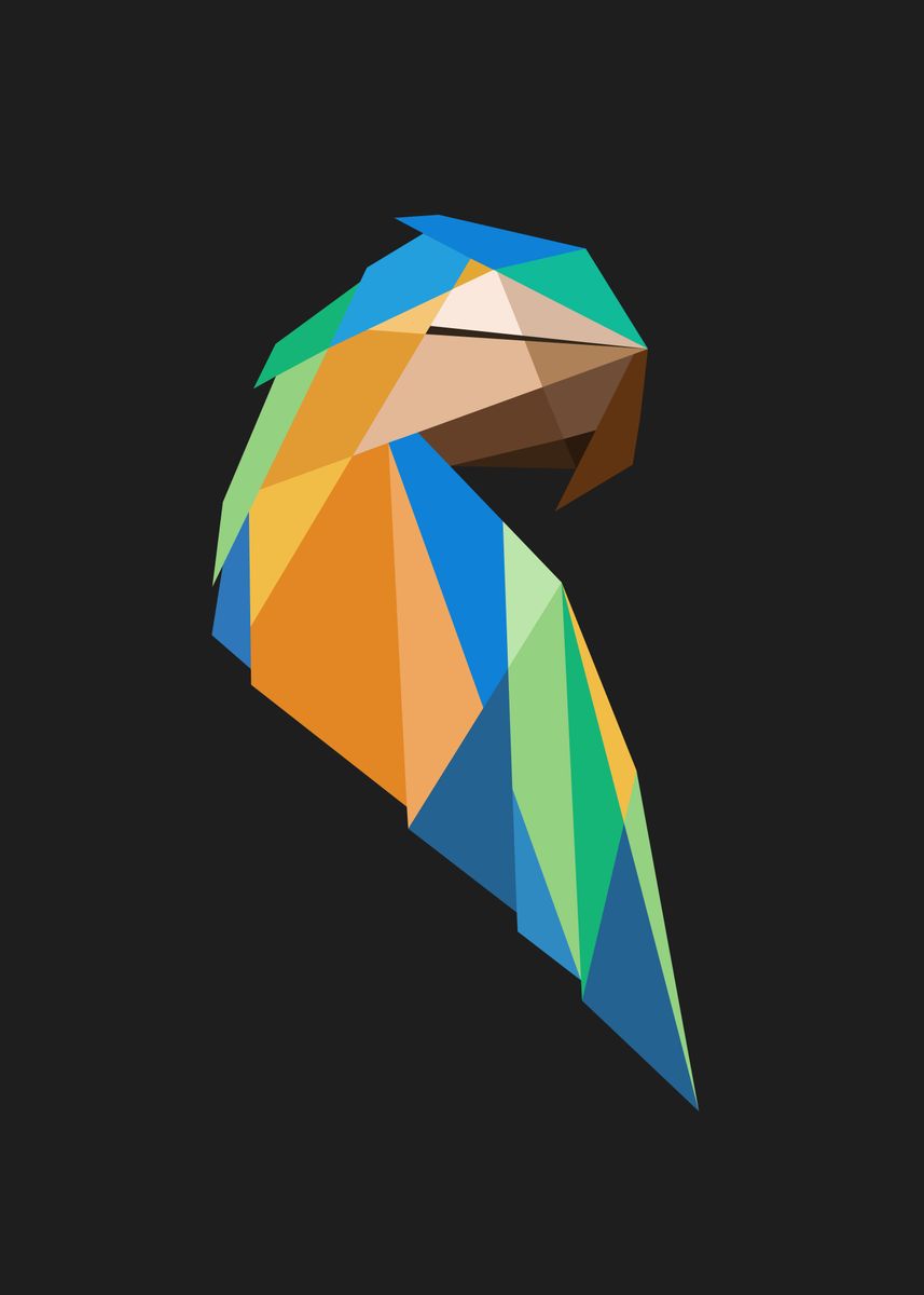 'Ara' Poster, picture, metal print, paint by Jakub Stepan | Displate