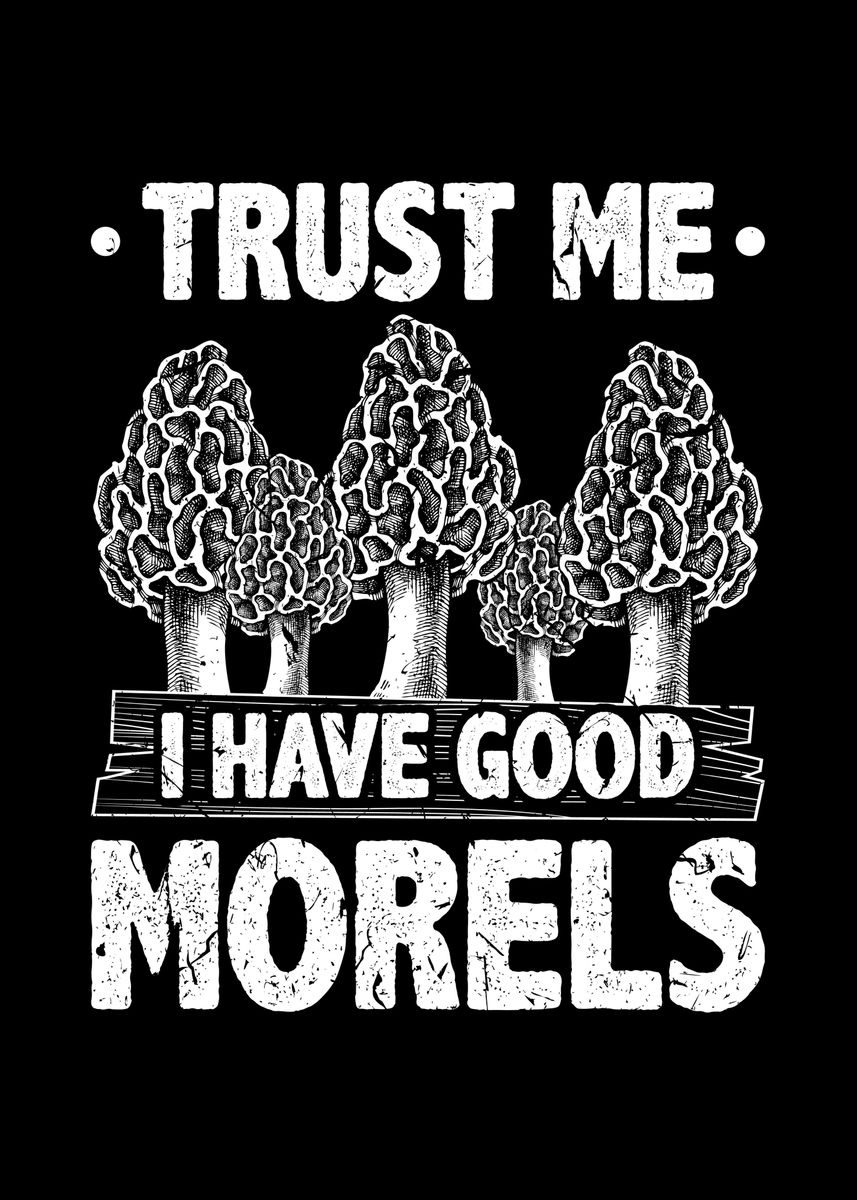 'Good Morels Foraging' Poster, picture, metal print, paint by ...