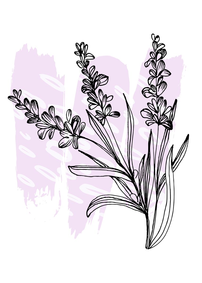 'Lavender Simple ' Poster by Samira Yanushkova | Displate