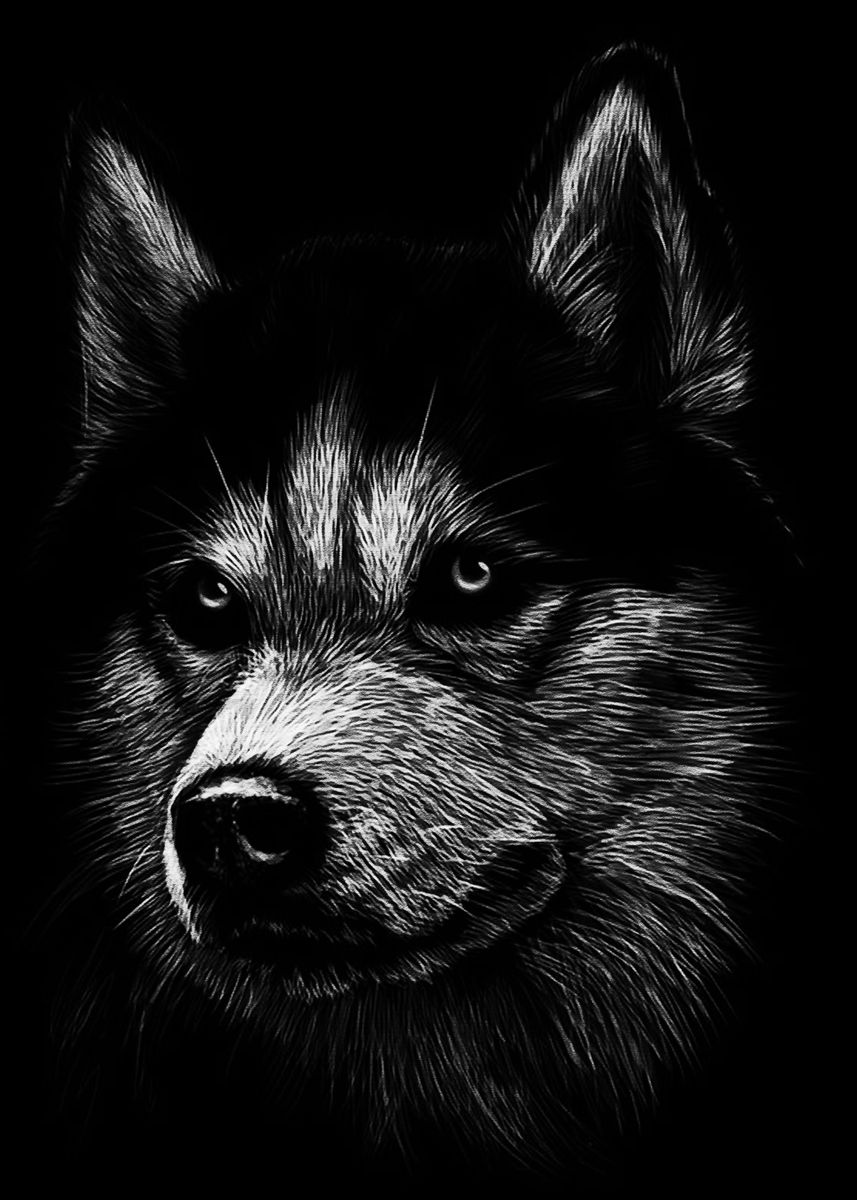 'Black Wolf' Poster, picture, metal print, paint by Coffee Design ...