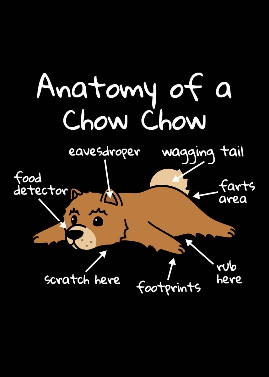 'Anatomy Of A Chow Chow' Poster by PetPrints | Displate