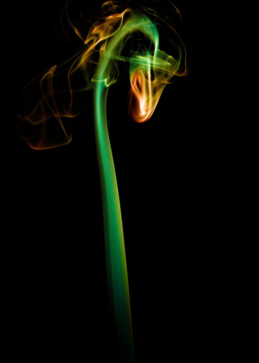 'Flower Smoke Photo' Poster, picture, metal print, paint by Leon Kramer ...