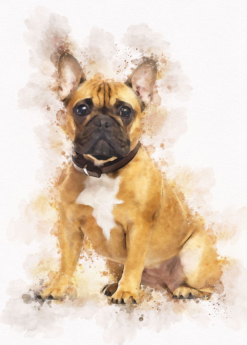 'French bulldog' Poster, picture, metal print, paint by kun bin | Displate