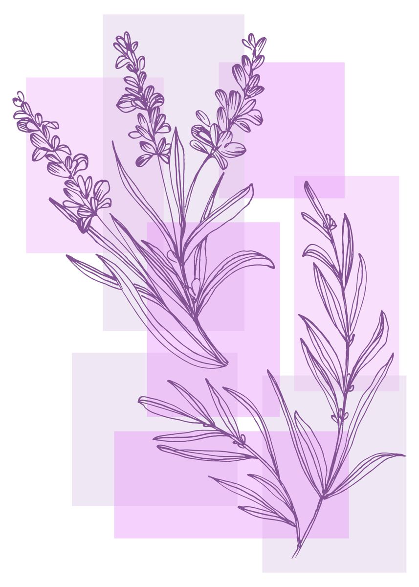 'Lavender Minimal Contempor' Poster, picture, metal print, paint by ...