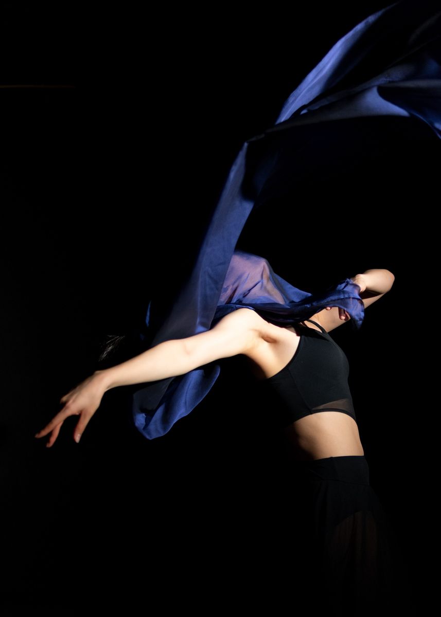 'Dancing passion ' Poster, picture, metal print, paint by Sam Brady ...