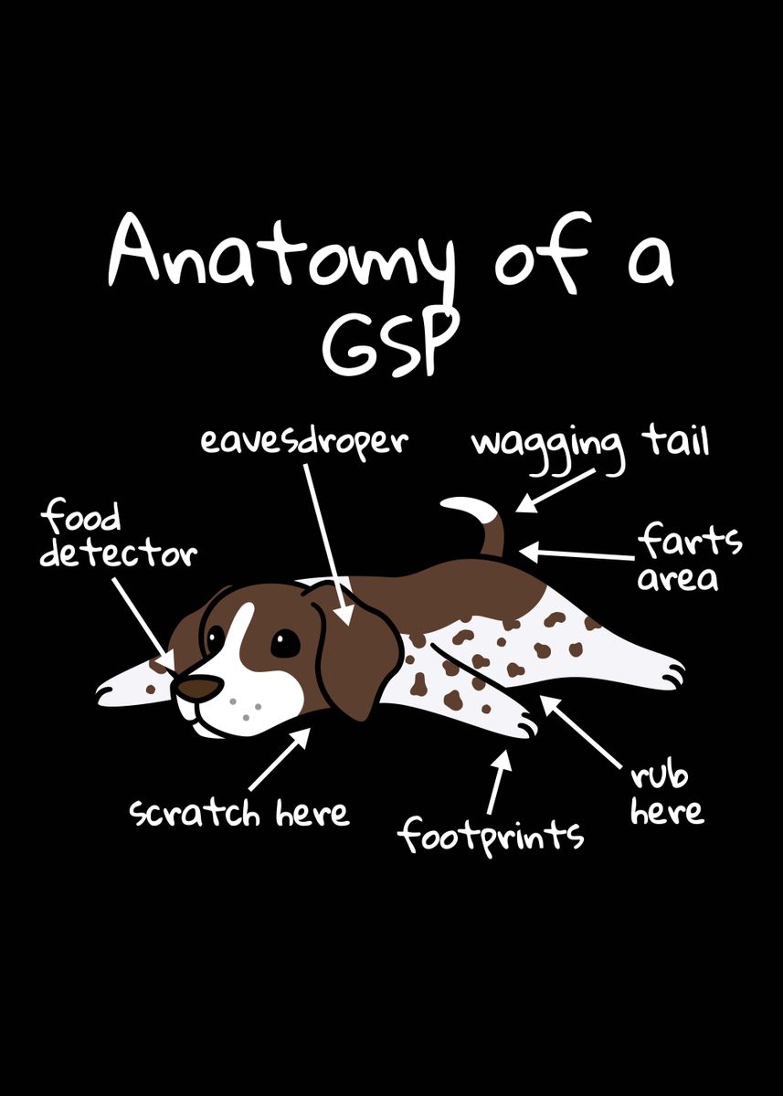 'Pointer Dog Anatomy' Poster, picture, metal print, paint by PetPrints ...