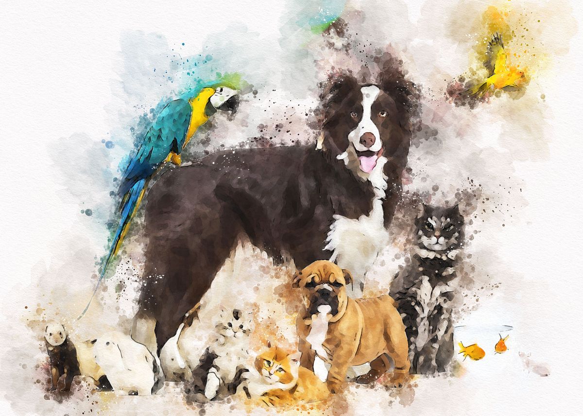 'Group of pets' Poster by kun bin | Displate