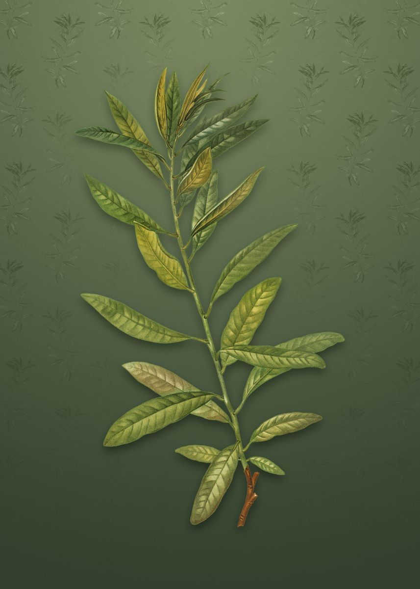 'Rhodora on Lunar Green' Poster, picture, metal print, paint by Holy ...