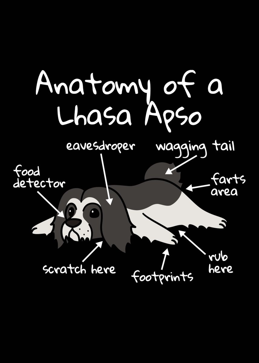 'Anatomy Of A Lhasa Apso ' Poster, picture, metal print, paint by ...
