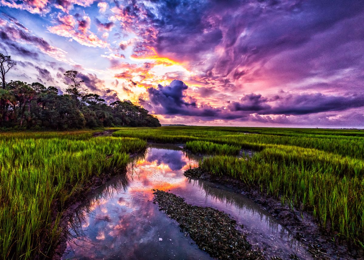 'Botany Bay Marsh Sunset' Poster by Gestalt Imagery | Displate