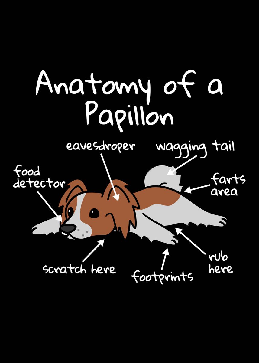 'Anatomy Of A Papillon' Poster, picture, metal print, paint by ...