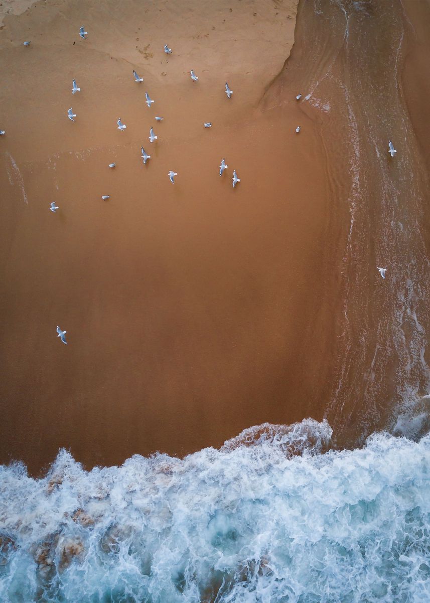 'fly freedom' Poster, picture, metal print, paint by Travel Travel ...