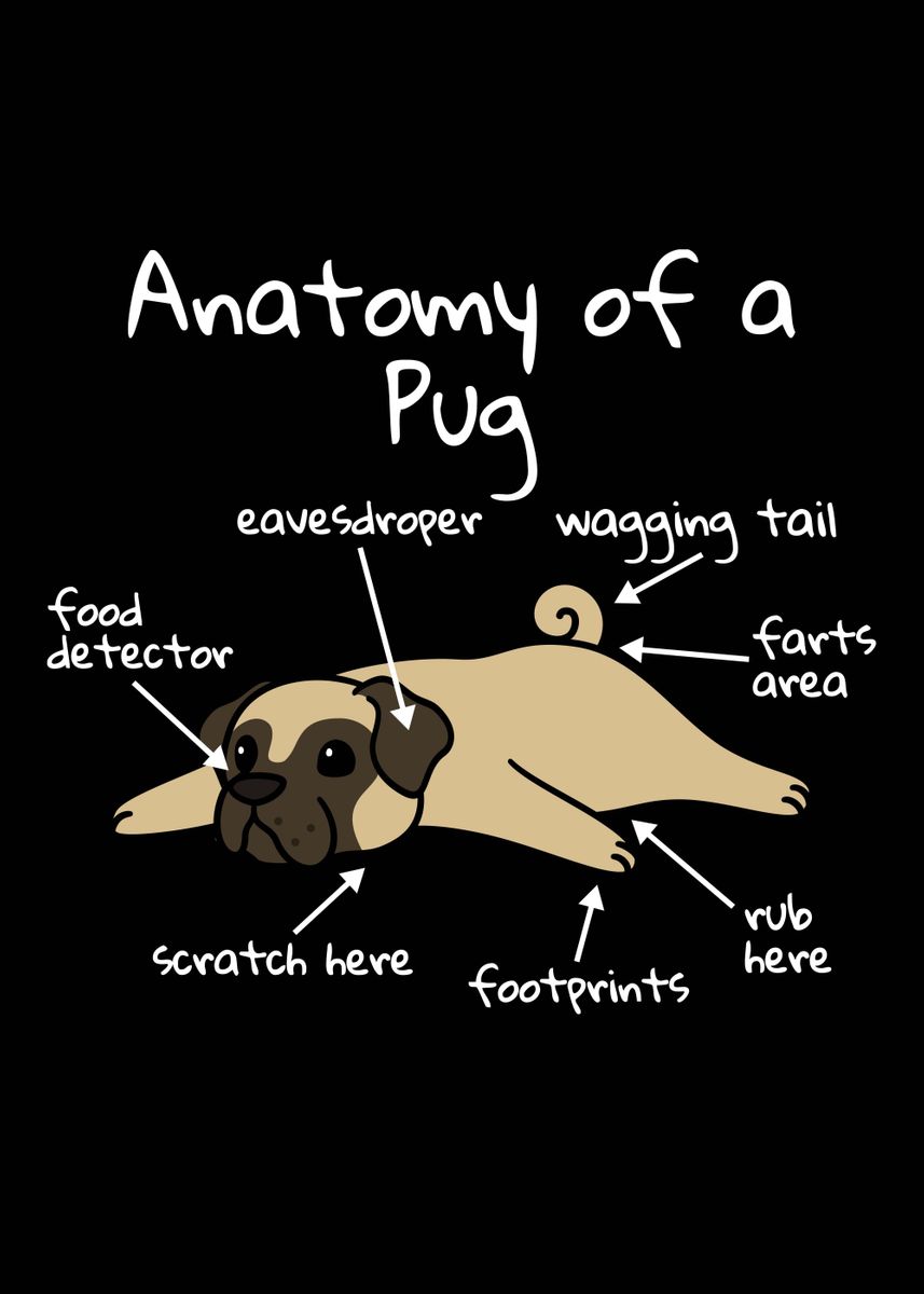 'Anatomy Of A Pug' Poster by PetPrints | Displate
