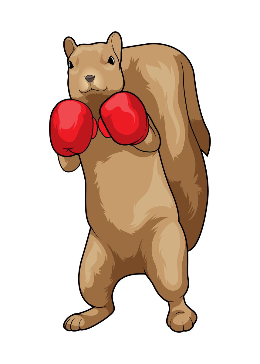 'Squirrel Boxer Sports' Poster, picture, metal print, paint by Markus ...
