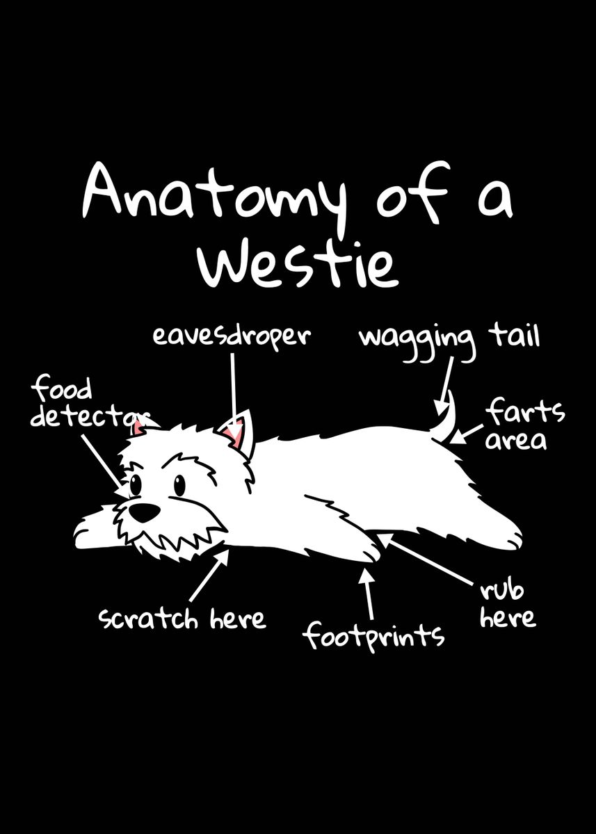 'Anatomy Of A Westie' Poster, picture, metal print, paint by PetPrints | Displate