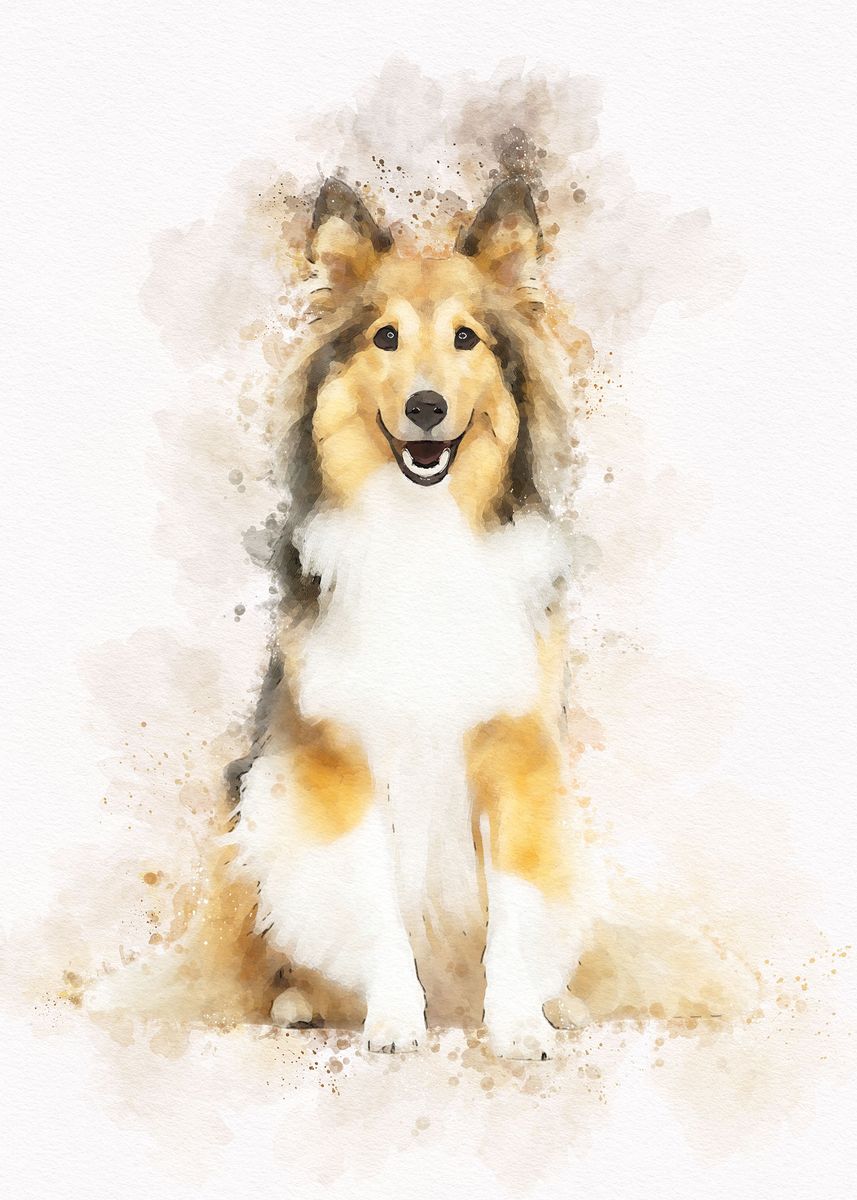 'shetland Dog' Poster by kun bin | Displate