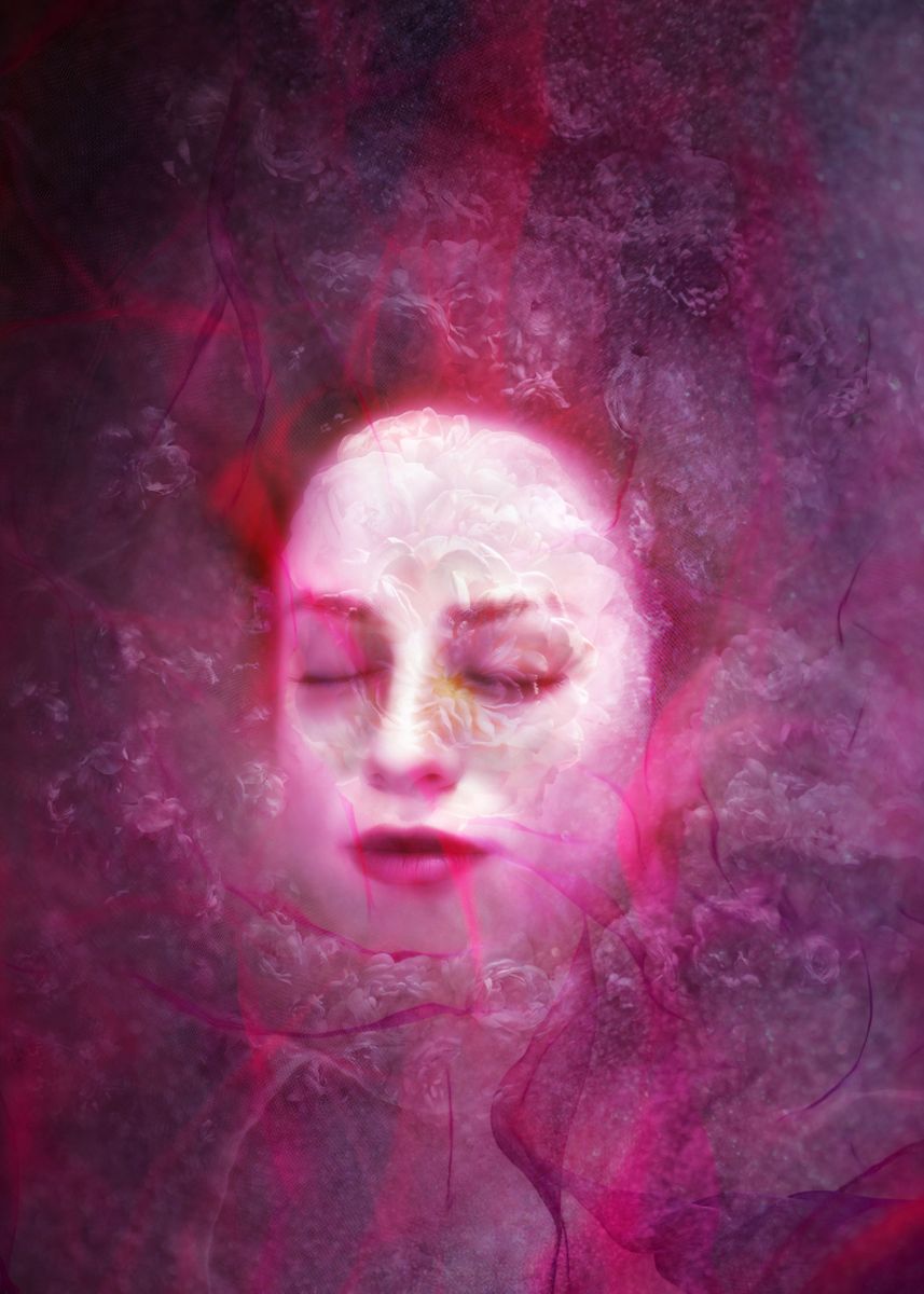 'White Roses Sleep' Poster, picture, metal print, paint by Kamil Hajek ...