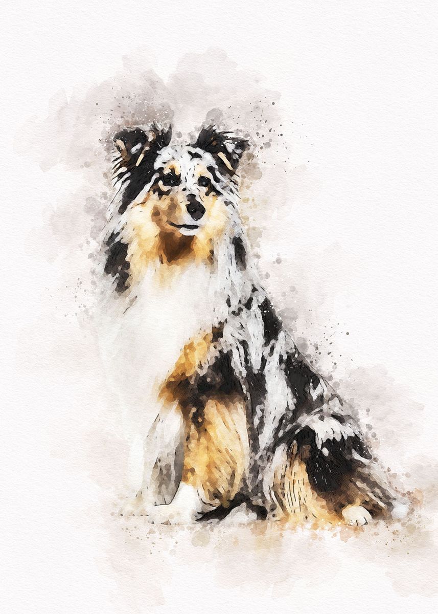 'Shetland Sheepdog' Poster, picture, metal print, paint by kun bin ...