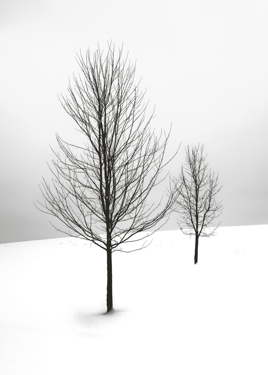 'black tree in winter' Poster by Travel Travel | Displate