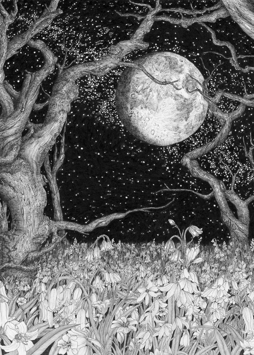 'Midnight Flowered Forest' Poster, picture, metal print, paint by Ella ...