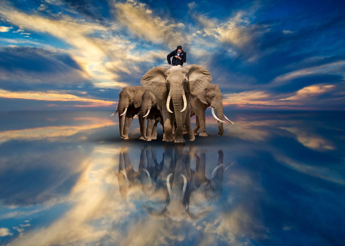 'the elephant walk' Poster by luigi diamanti | Displate