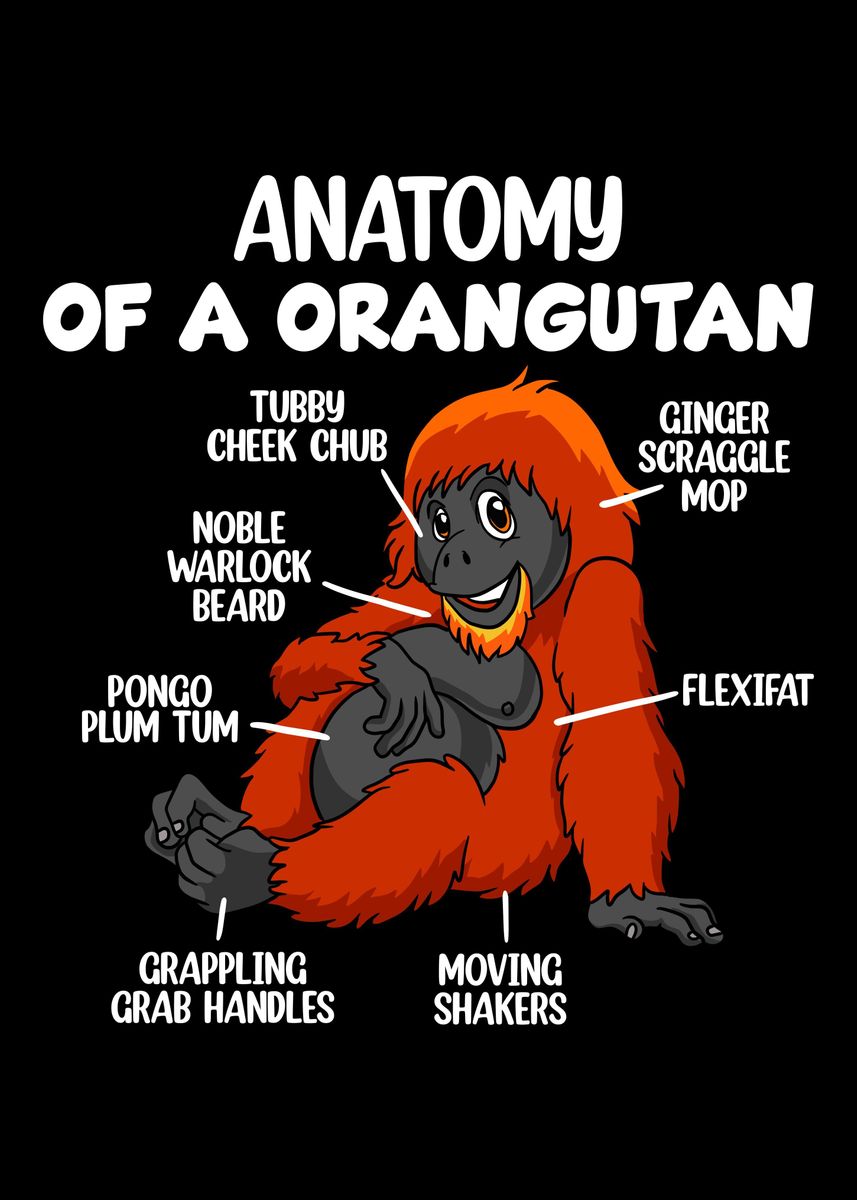 'Anatomy Of A Orangutan' Poster, picture, metal print, paint by Hexor ...