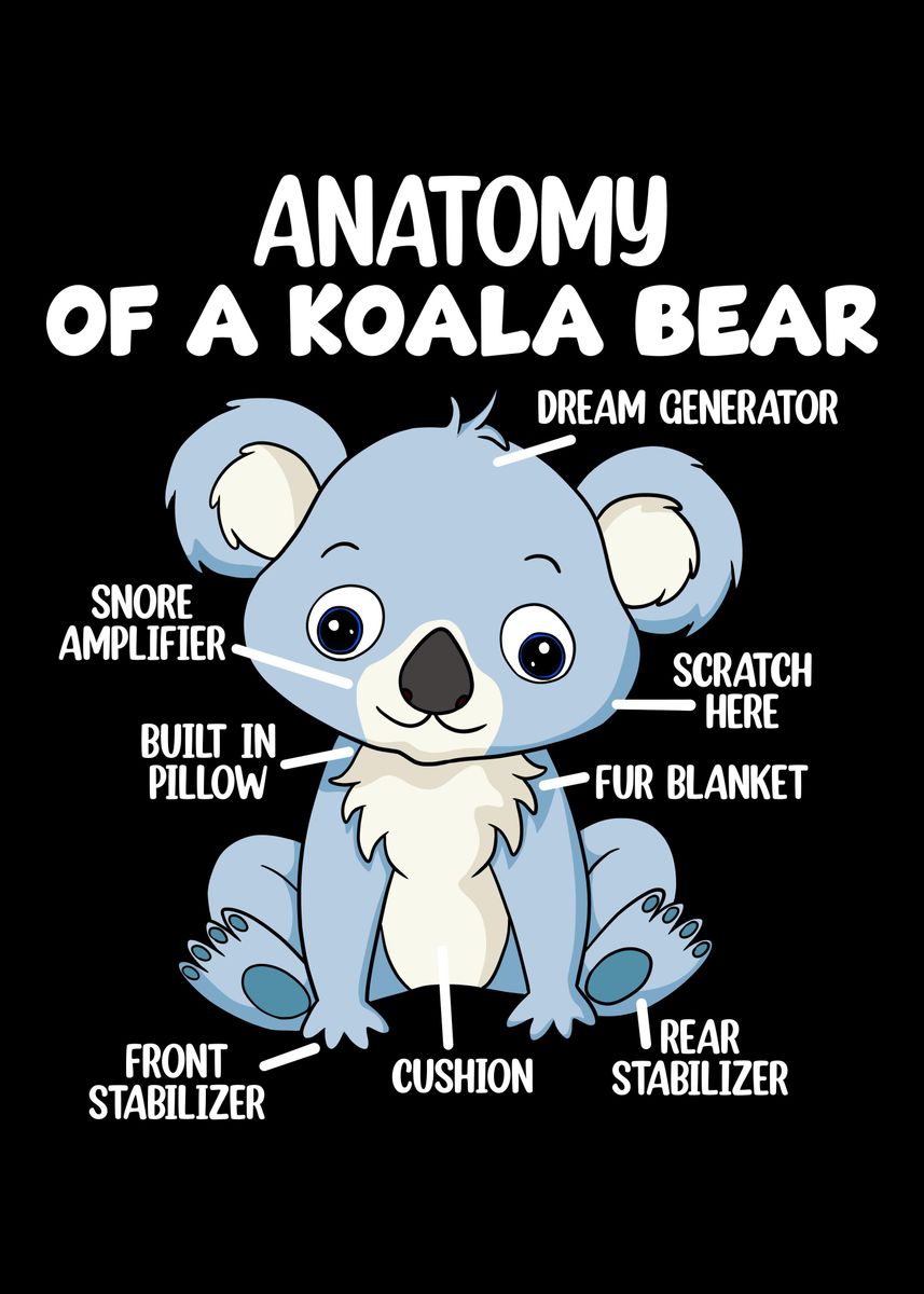 'Anatomy Of A Koala Bear' Poster, picture, metal print, paint by Hexor ...