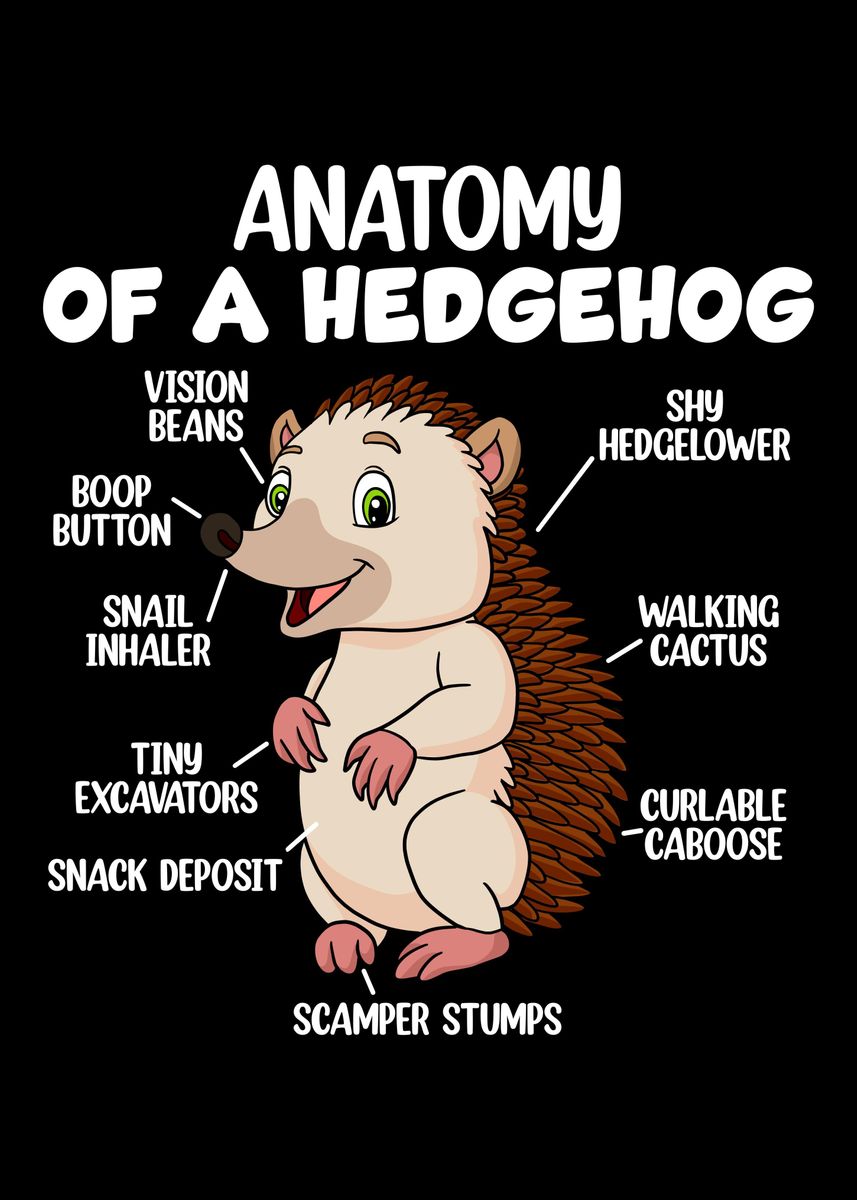 'Anatomy Of A Hedgehog' Poster, picture, metal print, paint by Hexor ...