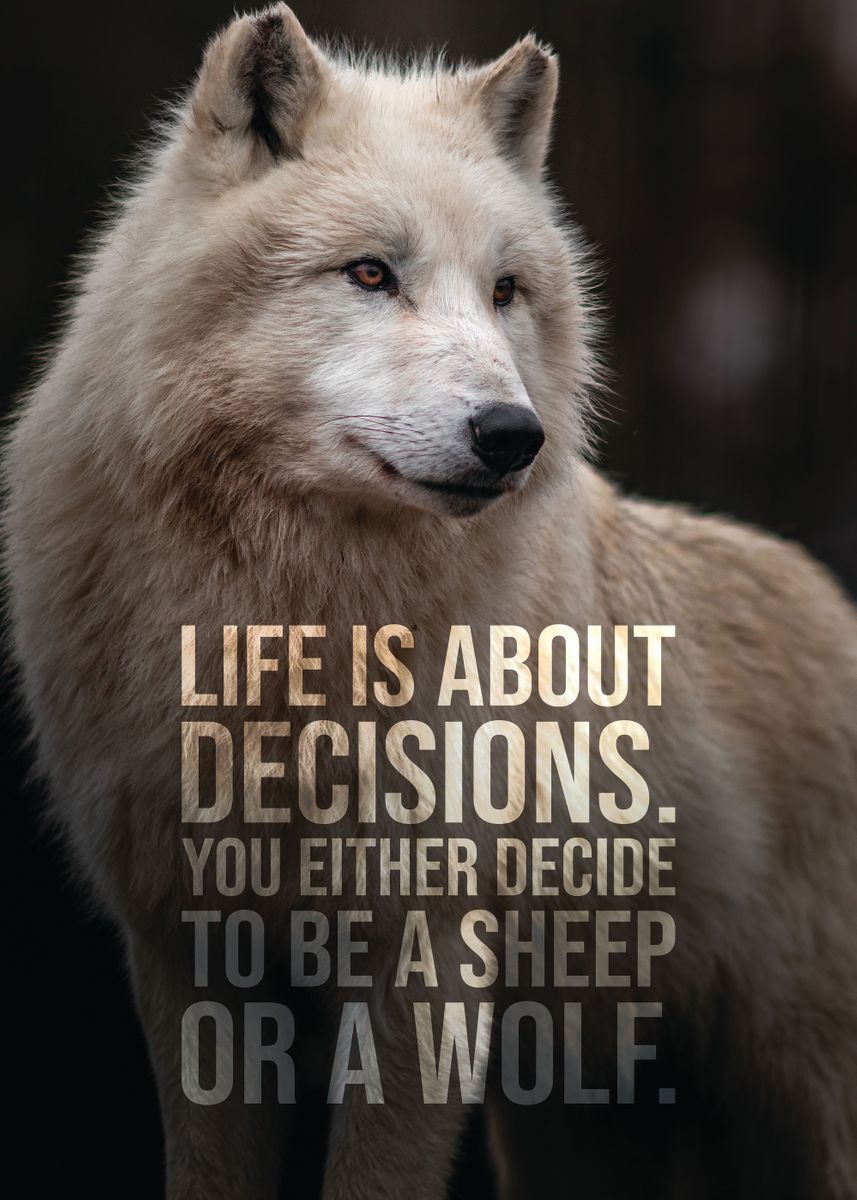 Training Day Quotes Wolf Or Sheep