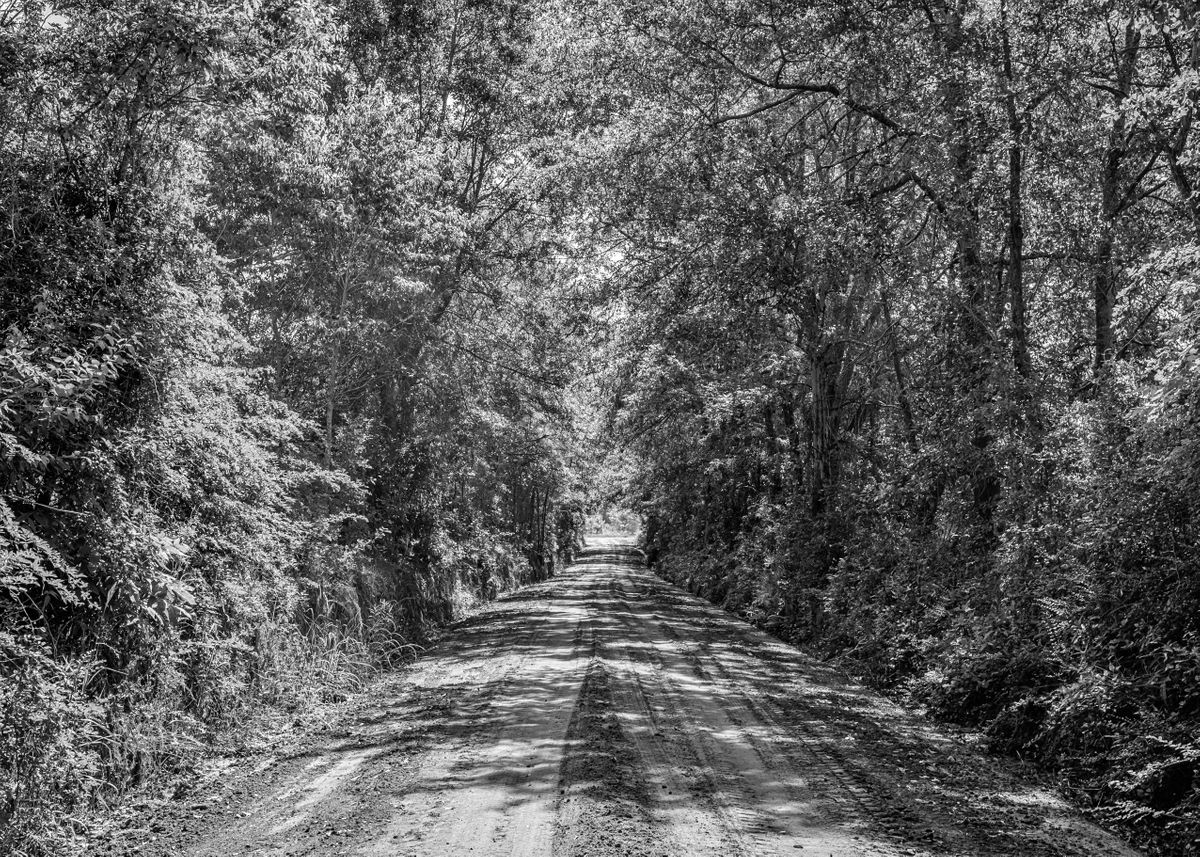 'Southern Dirt Road' Poster by Gestalt Imagery | Displate
