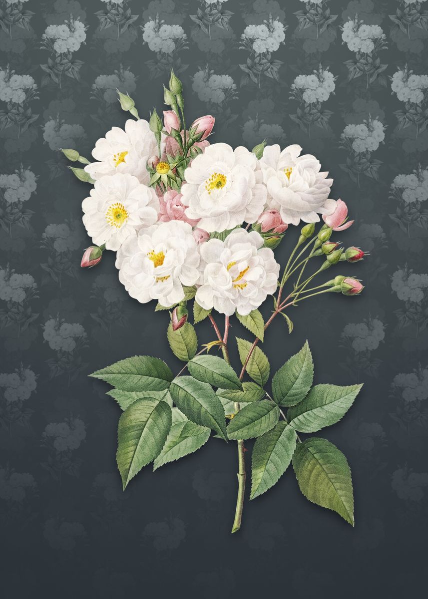 'Vintage Noisette Roses' Poster, picture, metal print, paint by Holy ...