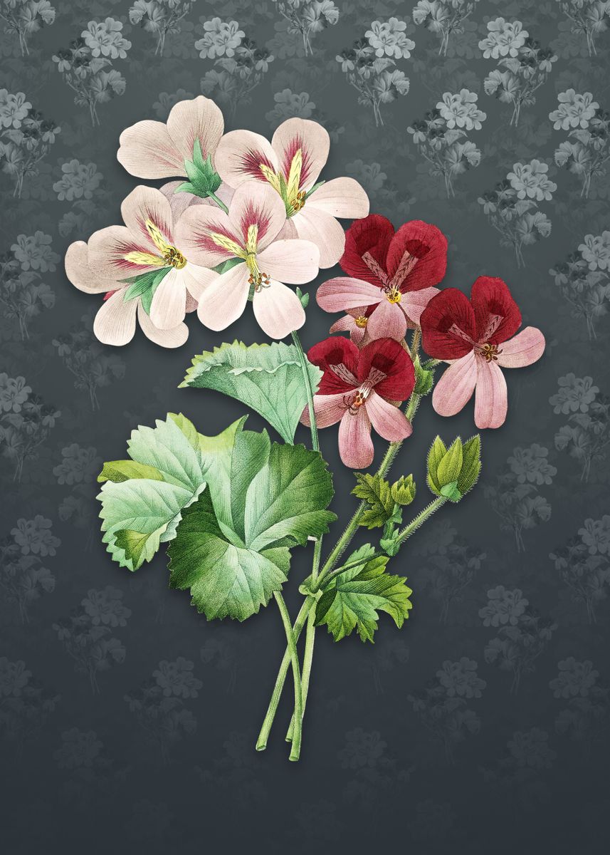 'Cranes Bill Geranium' Poster, picture, metal print, paint by Holy Rock ...