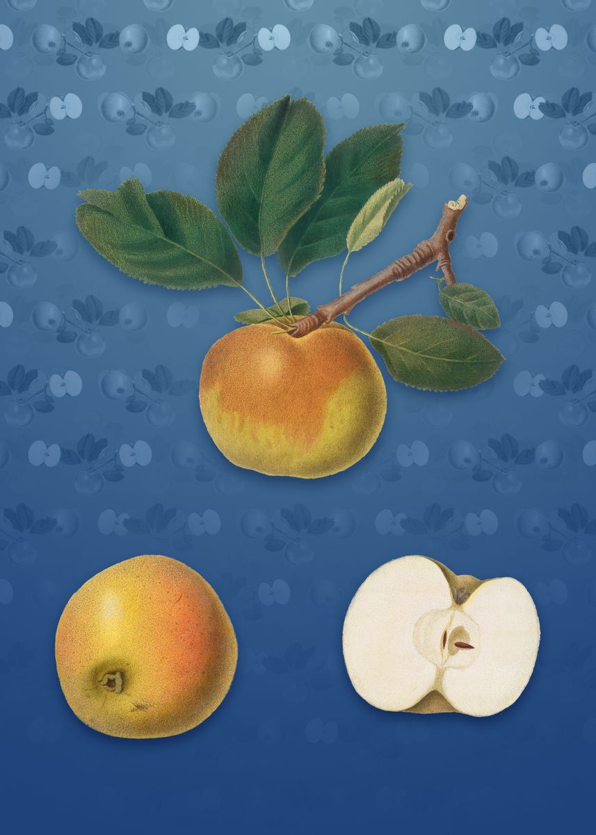 'Apple on Bahama Blue' Poster, picture, metal print, paint by Holy Rock ...