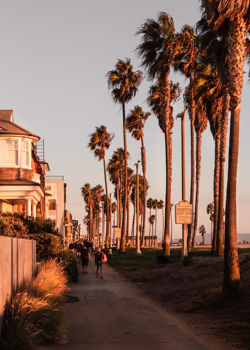 'Venice Beach Sunset' Poster, picture, metal print, paint by ...